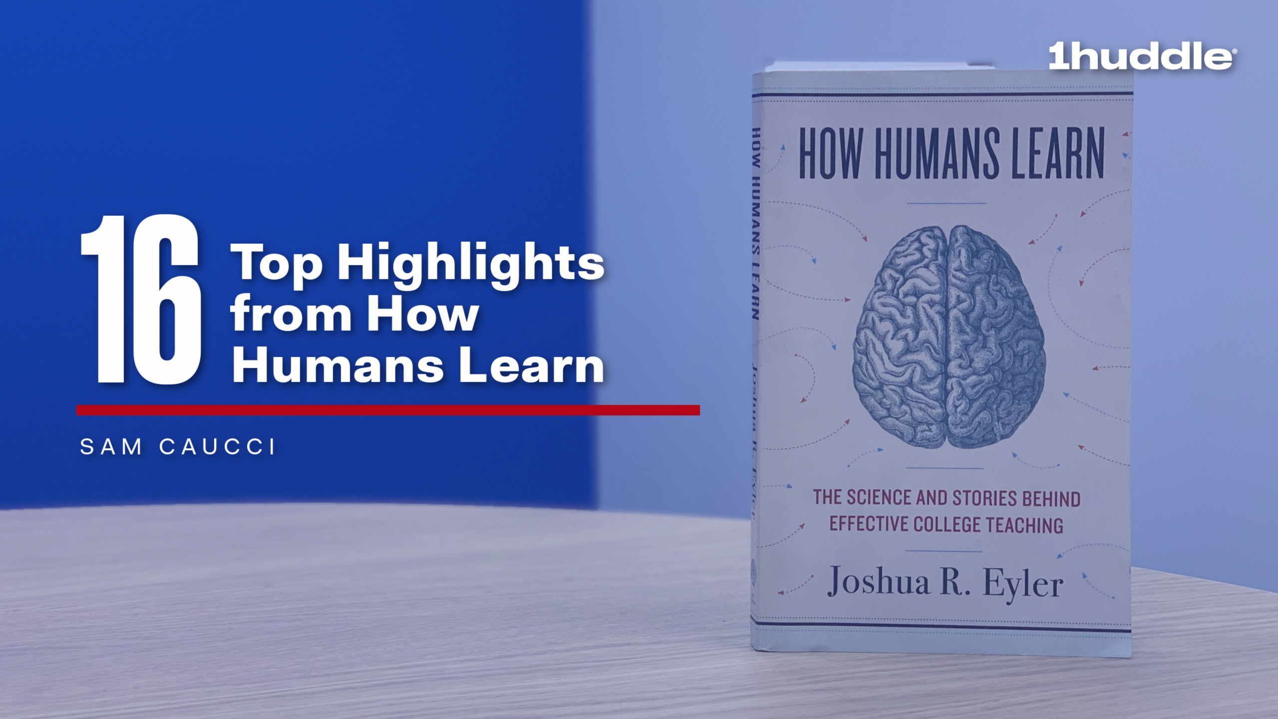 16 Top Highlights from How Humans Learn